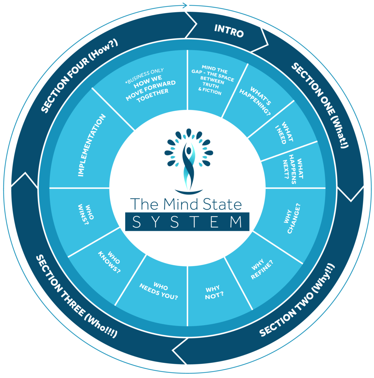 Methodology - The Mind State System By Mary